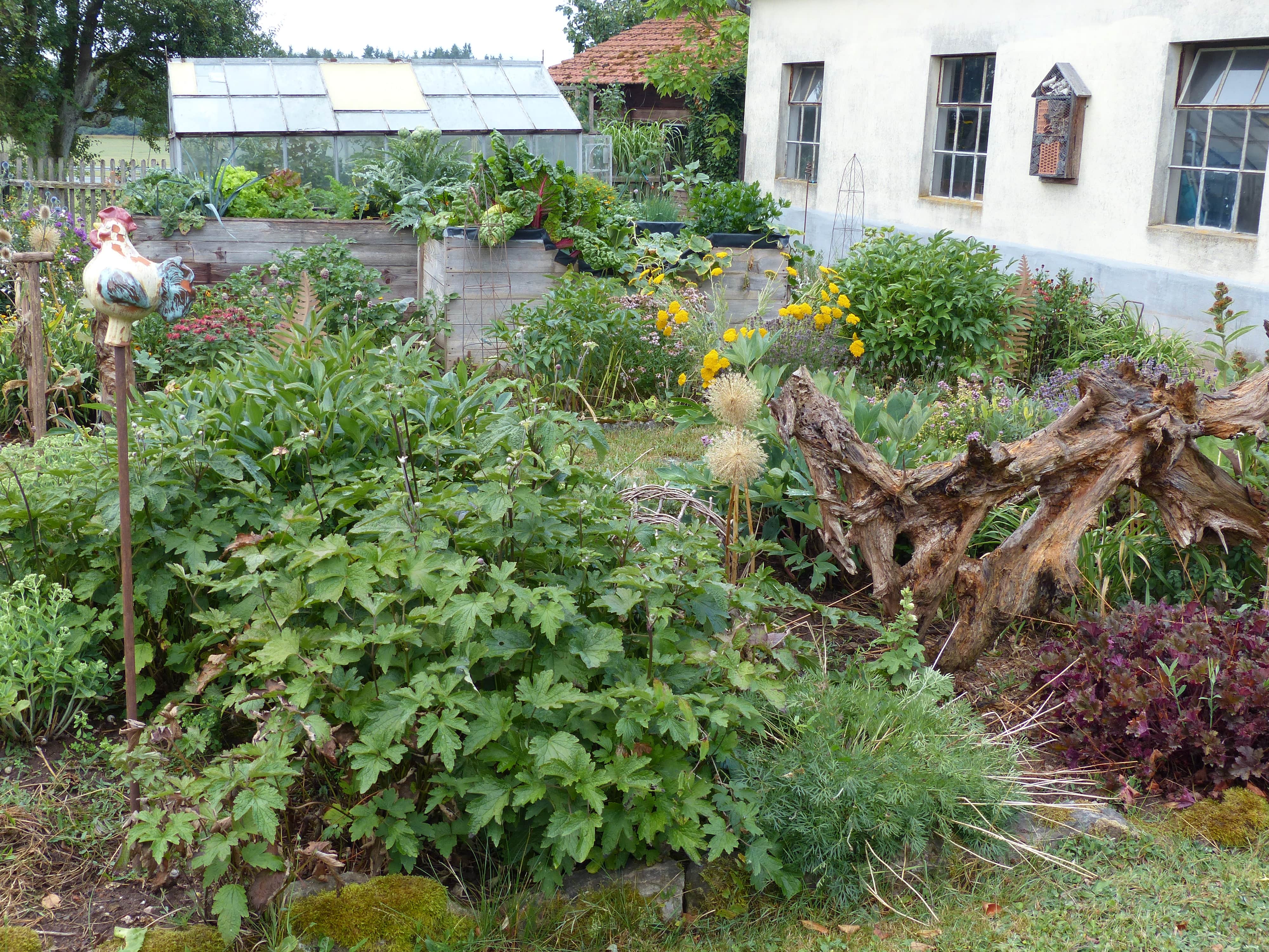 Person der Woche: Gemeindereferentin Roswitha Heining