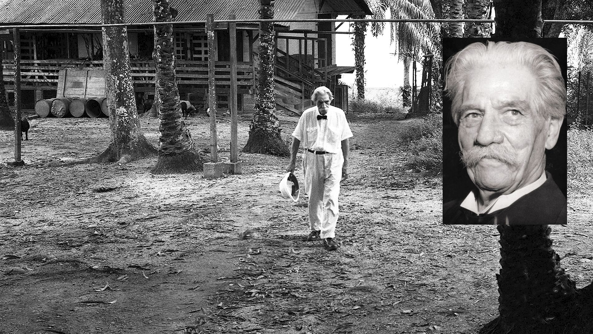 Albert Schweitzer zum 150. Geburtstag | Bistum Regensburg