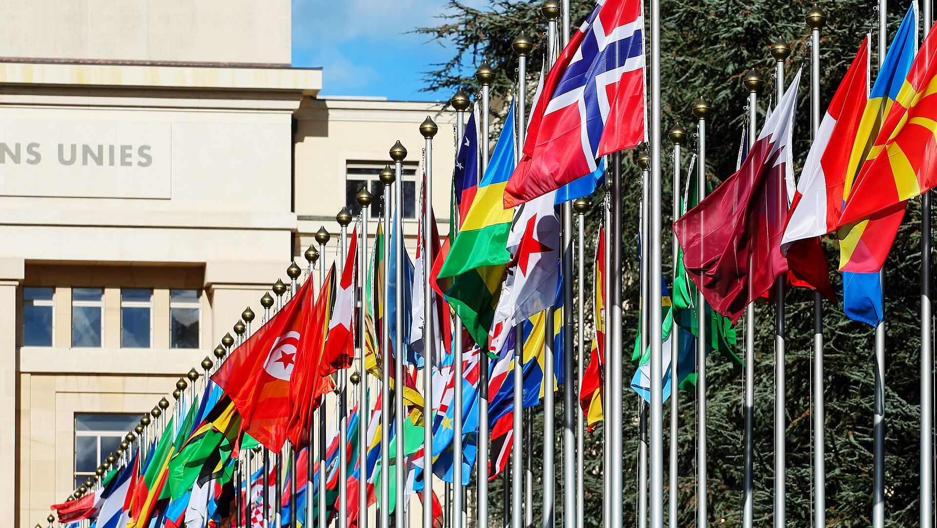 Japonesas porno xxx thanks Hailey for being so wonderful!!!